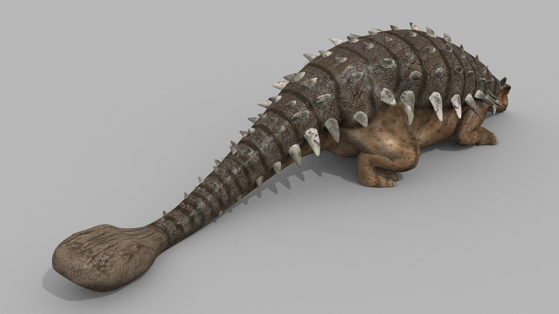 Ankylosaur 8K - Fully Animated 3D Model by Virtual creator