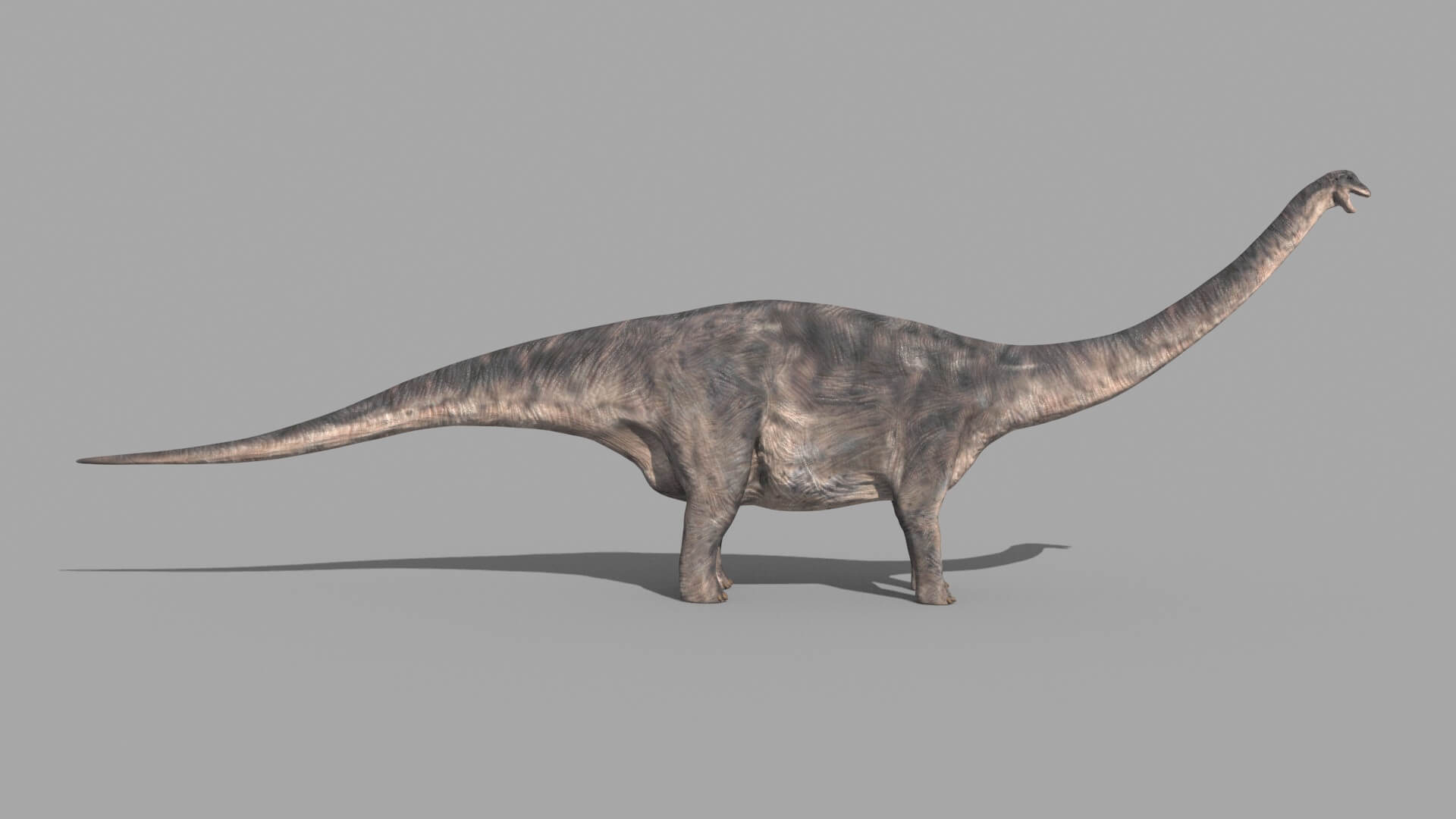 Apatosaur Forever - 8K 3D Model by Virtual creator