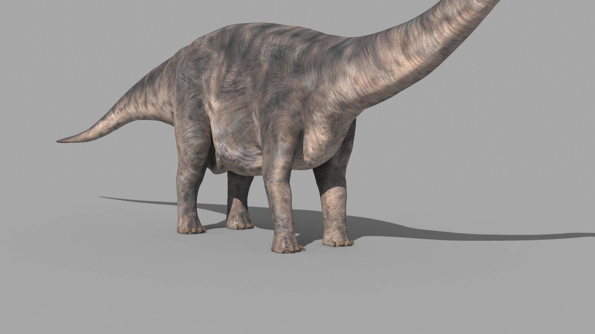 Apatosaur Forever - 8K 3D Model by Virtual creator