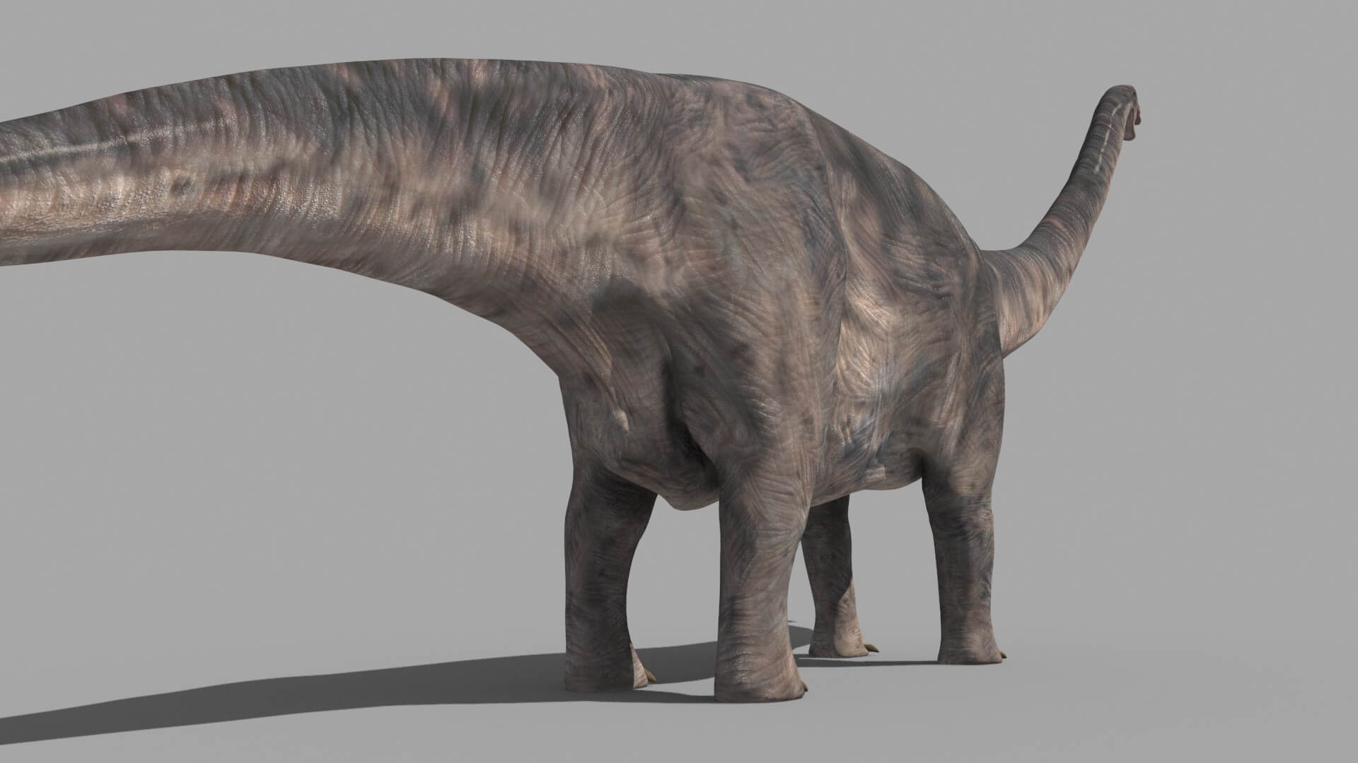 Apatosaur Forever - 8K 3D Model by Virtual creator