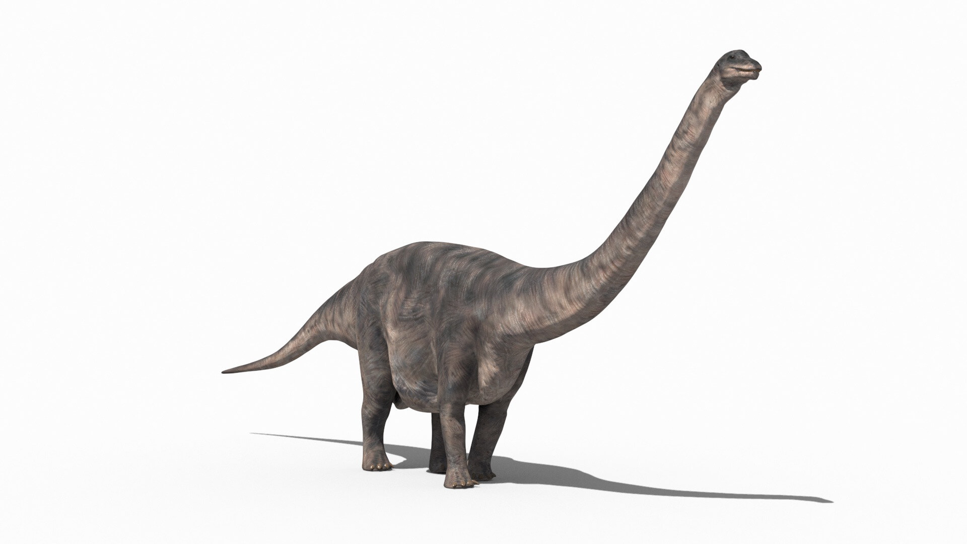 Apatosaur Forever - 8K 3D Model by Virtual creator