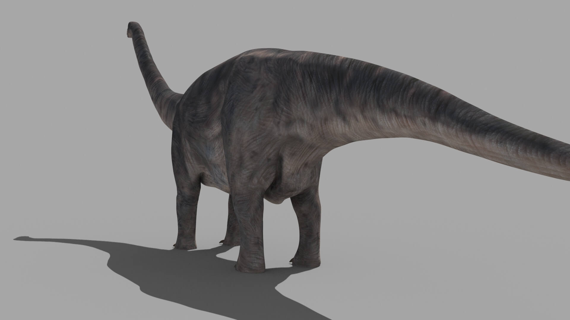 Apatosaur Forever - 8K 3D Model by Virtual creator