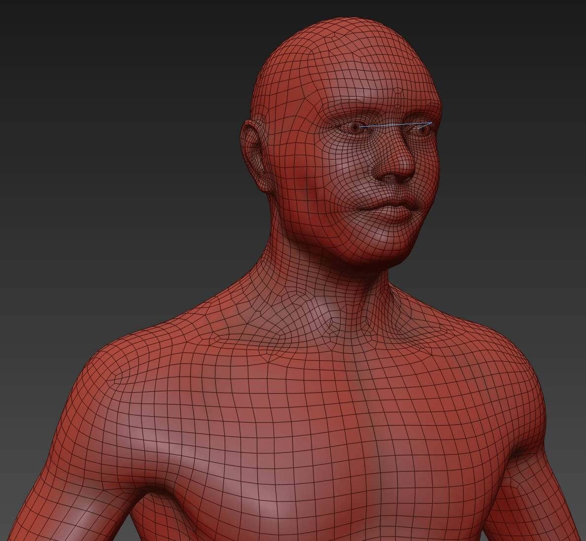 Athleticus Character - 3D Model by Virtual creator