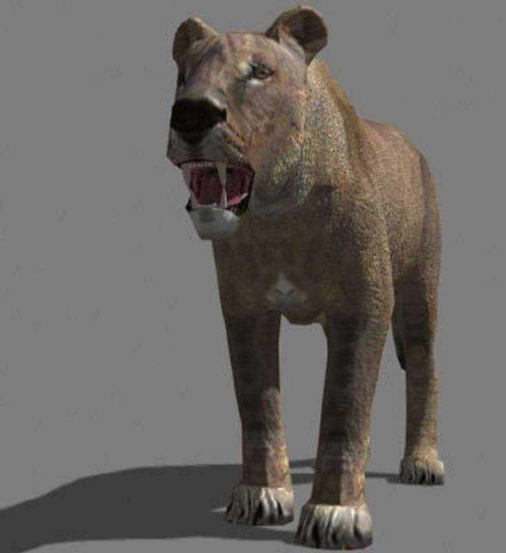 Lioness - 3D Model by Virtual creator