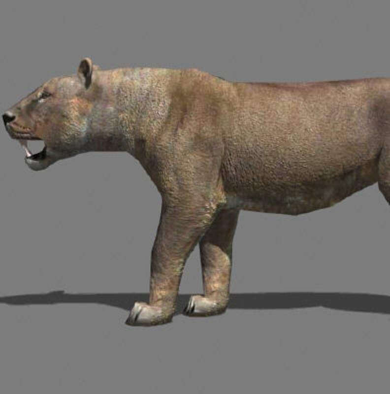 Lioness - 3D Model by Virtual creator