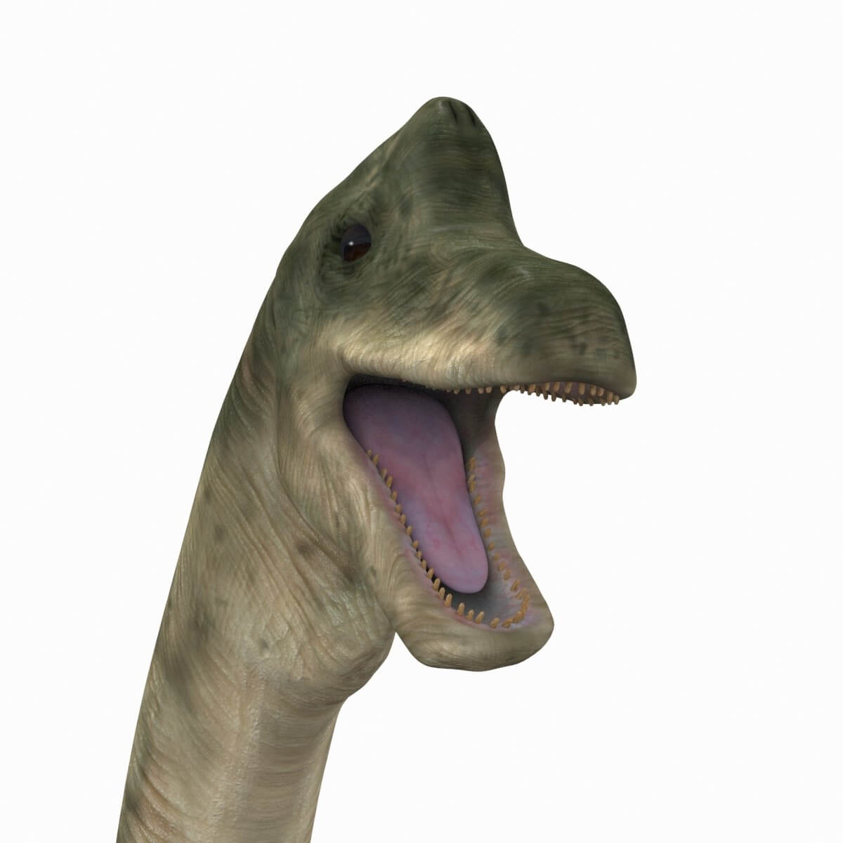 Brachiosaur Forever - 8K 3D Model by Virtual creator