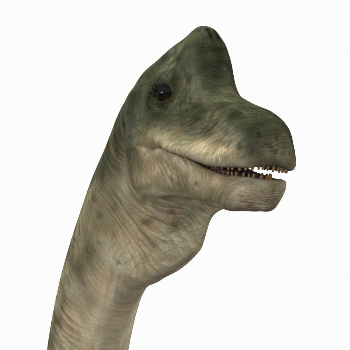 Brachiosaur Forever - 8K 3D Model by Virtual creator