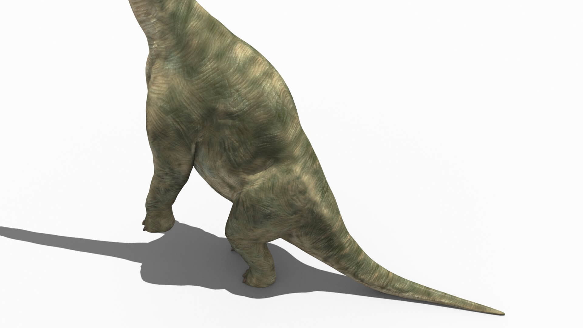 Brachiosaur Forever - 8K 3D Model by Virtual creator