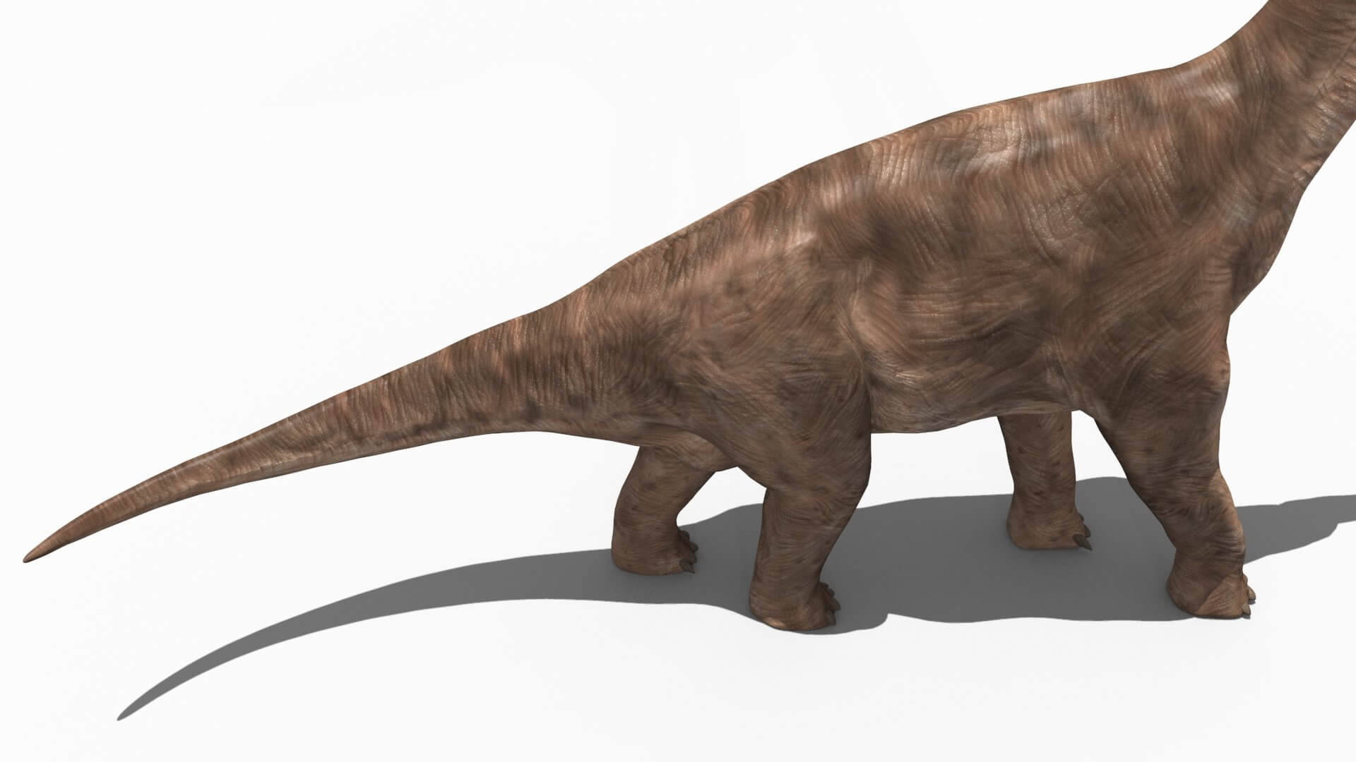 Brachiosaur Forever - 8K 3D Model by Virtual creator