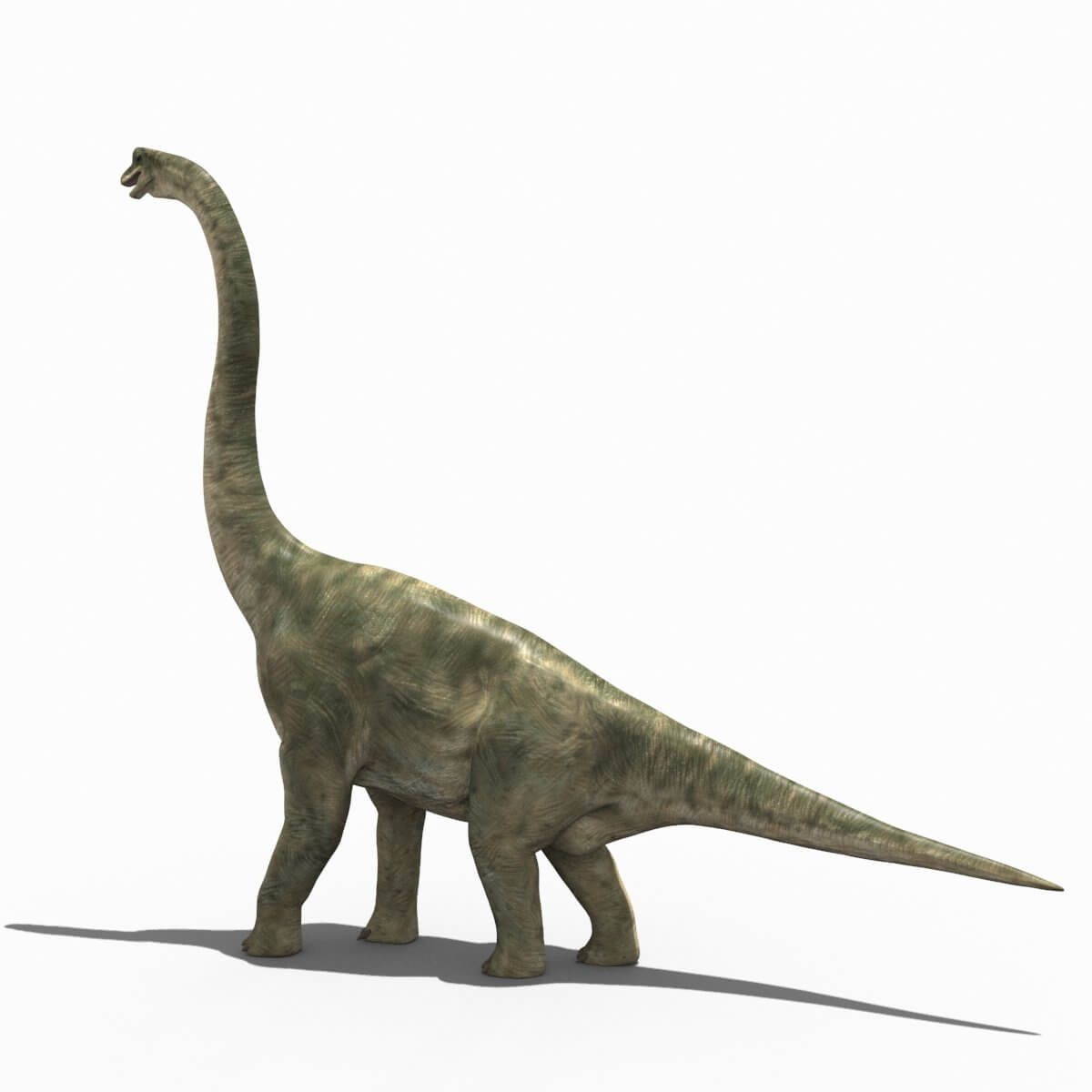 Brachiosaur Forever - 8K 3D Model by Virtual creator