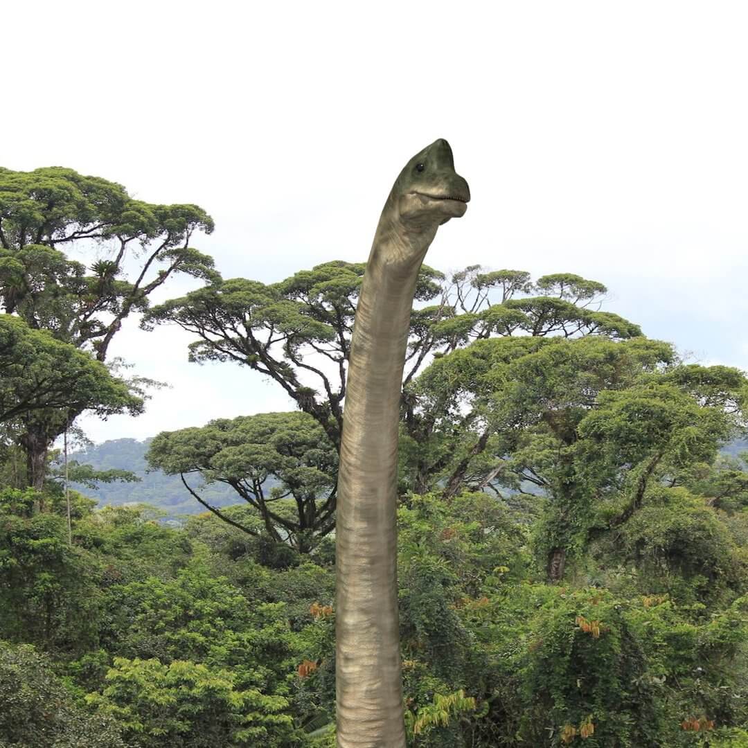 Brachiosaur Forever - 8K 3D Model by Virtual creator