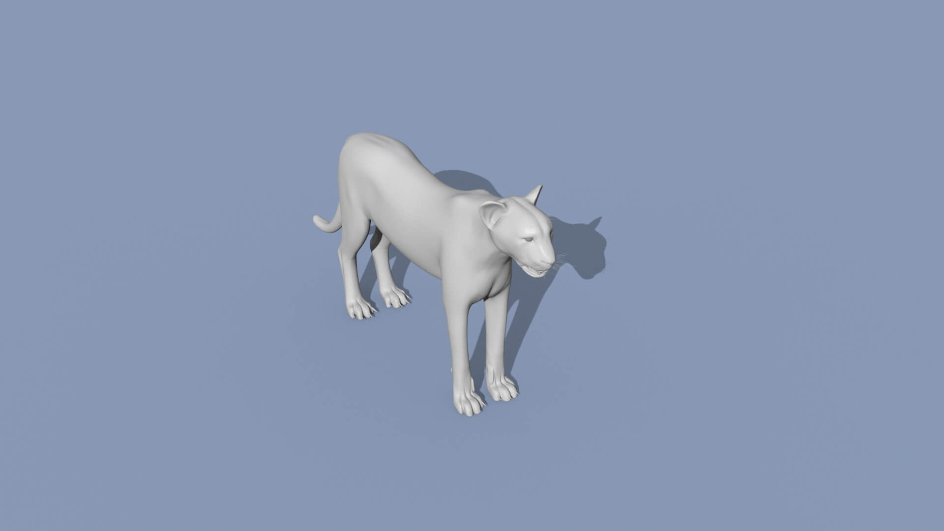 Cheetah Shape - 3D Model by Virtual creator