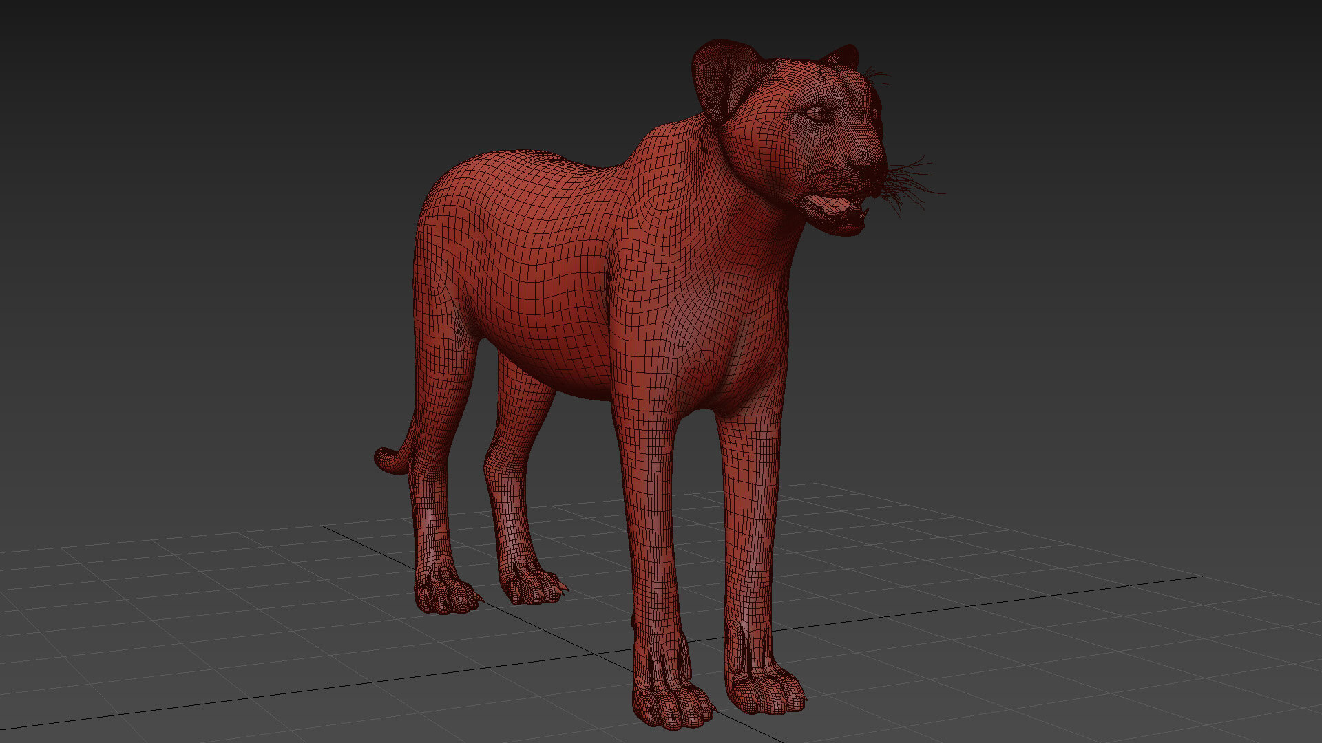 Cheetah Shape - 3D Model by Virtual creator