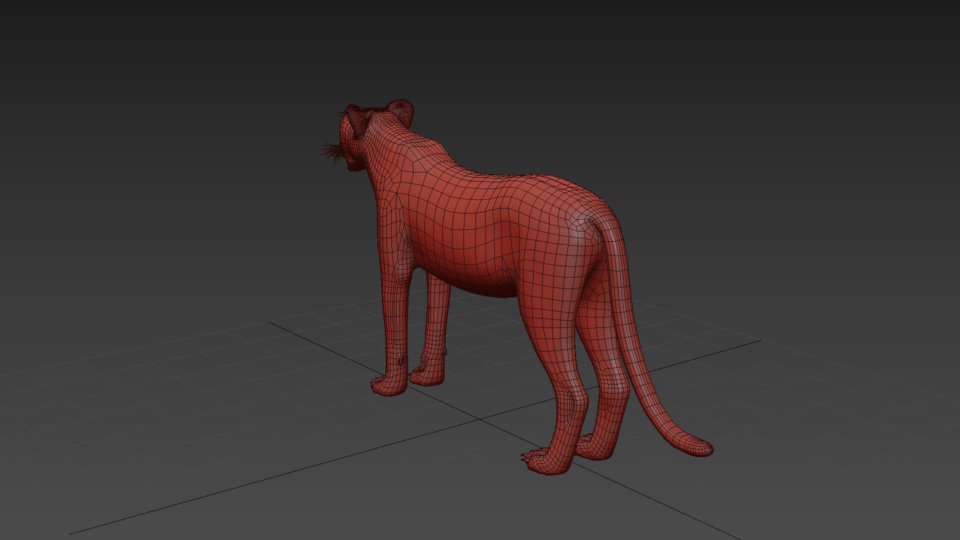 Cheetah Shape - 3D Model by Virtual creator