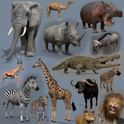Colossal Animal Pack - 3D Model by Virtual creator
