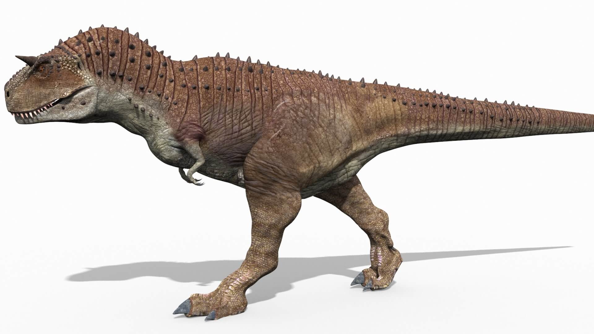 Colossal Dinosaur Pack 8K - 3D Model by Virtual creator