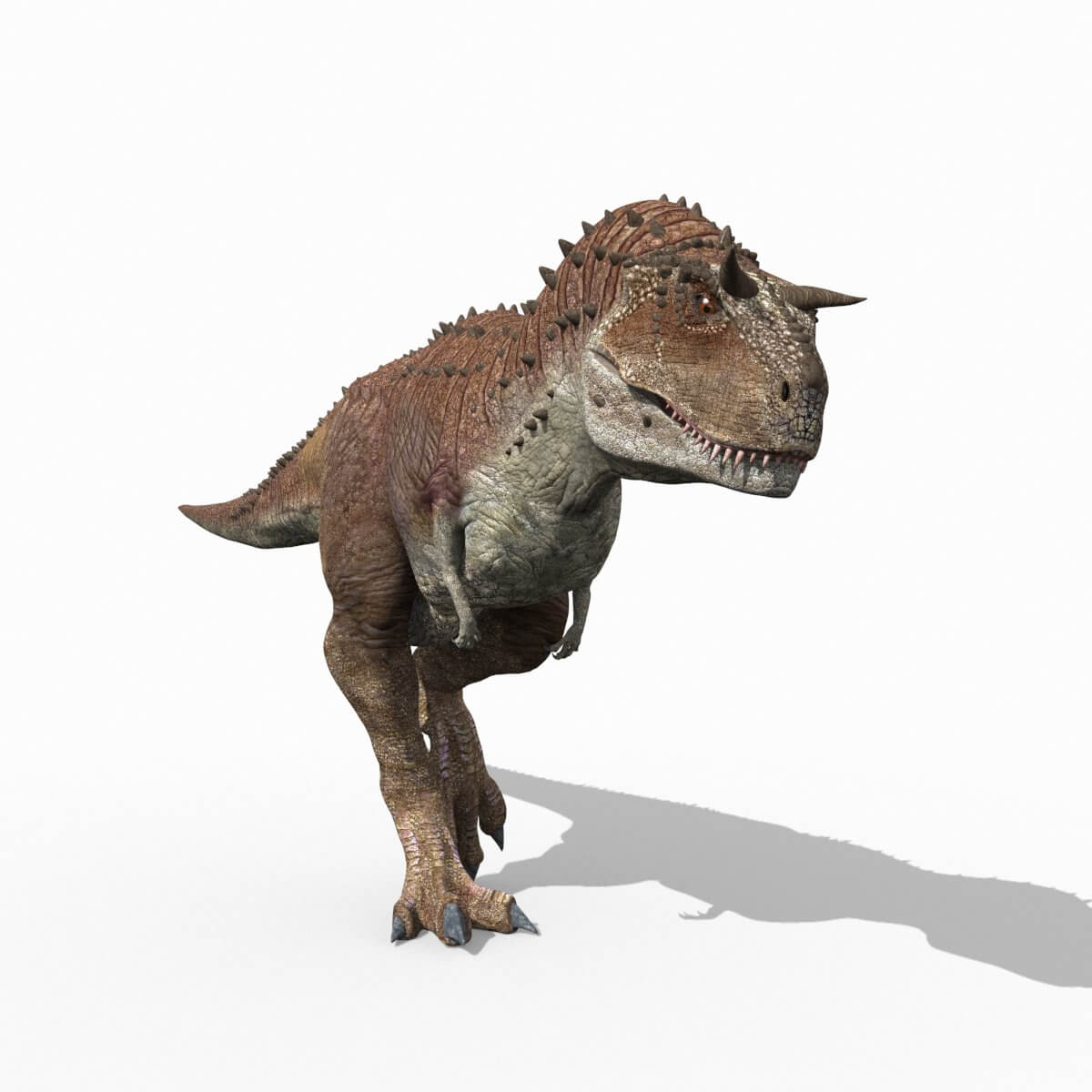 Colossal Dinosaur Pack 8K - 3D Model by Virtual creator