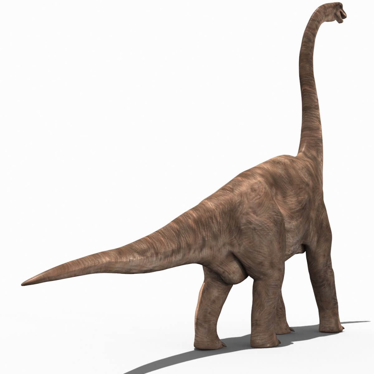 Colossal Dinosaur Pack 8K - 3D Model by Virtual creator