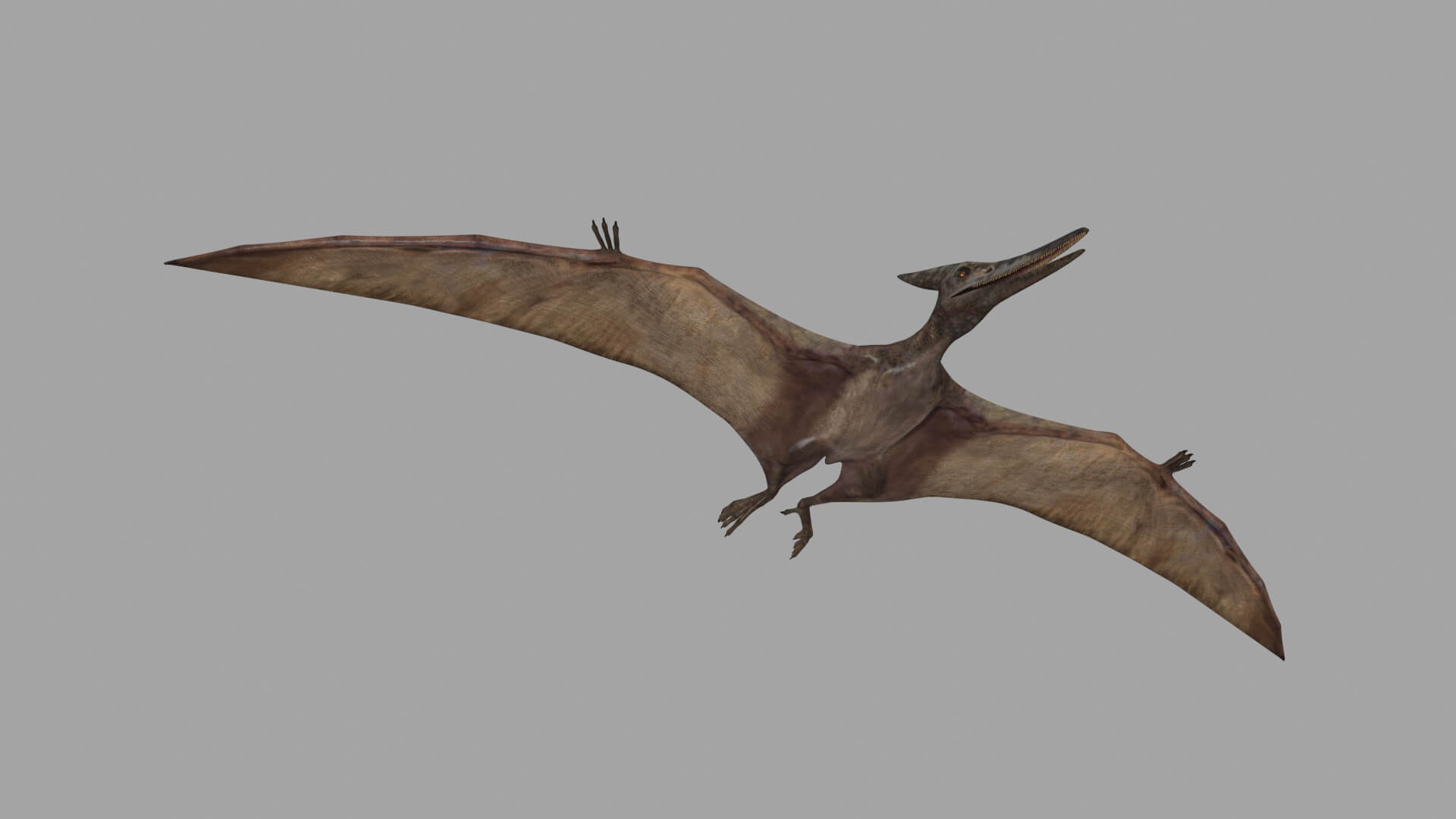 Dino Extra Pack 8K - Fully Animated 3D Model by Virtual creator