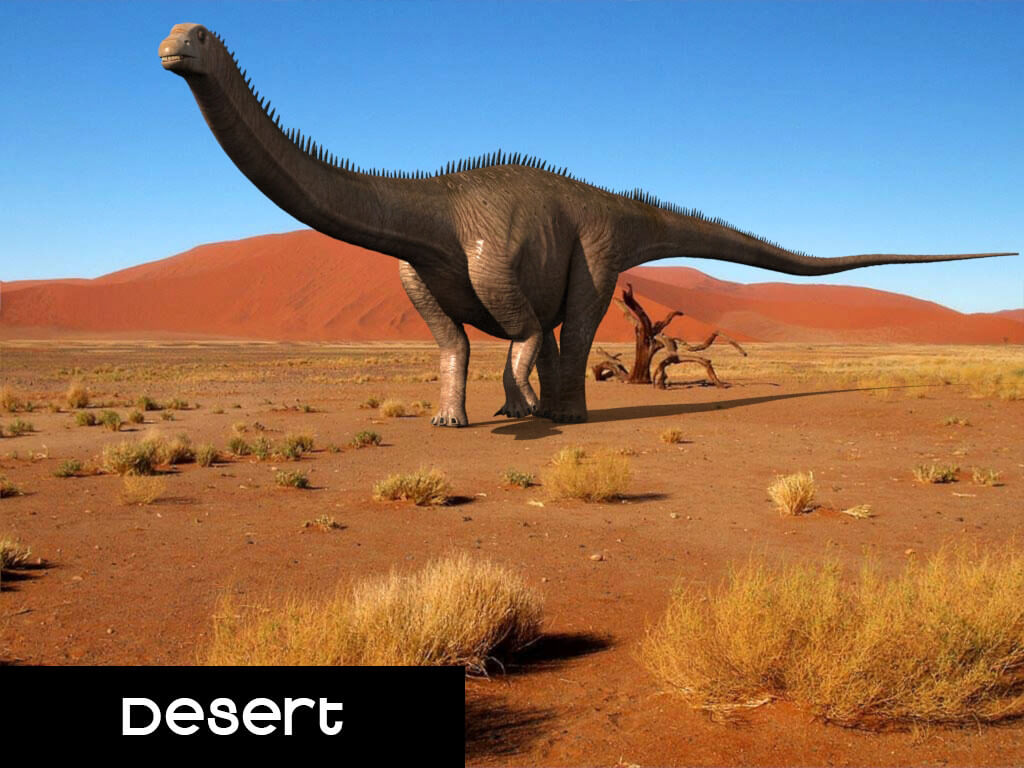 Dino Extra Pack 8K - Fully Animated 3D Model by Virtual creator