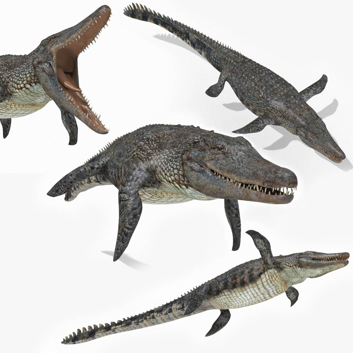 Dino Extra Pack 8K - Fully Animated 3D Model by Virtual creator