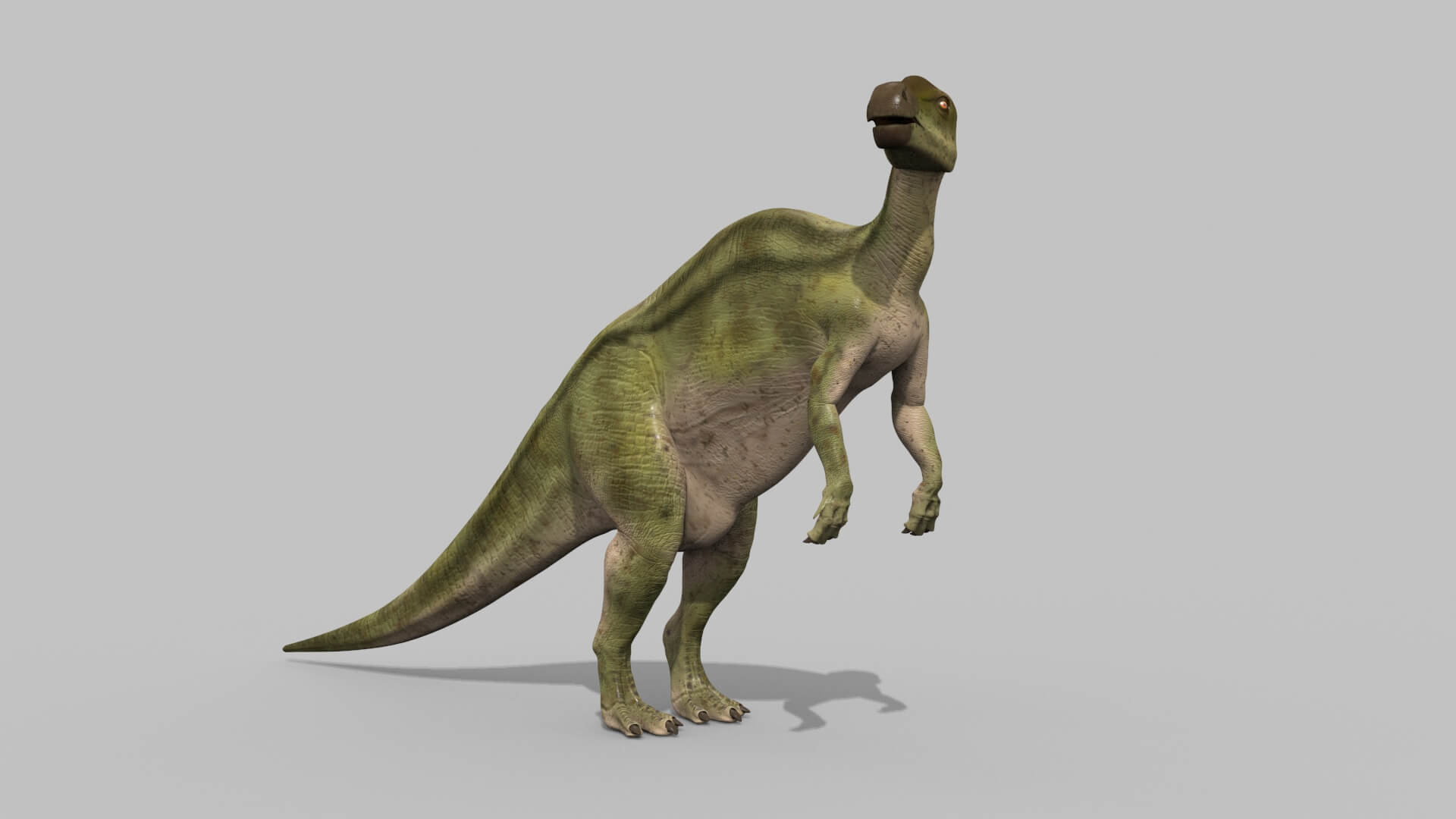 Dino Extra Pack 8K - Fully Animated 3D Model by Virtual creator