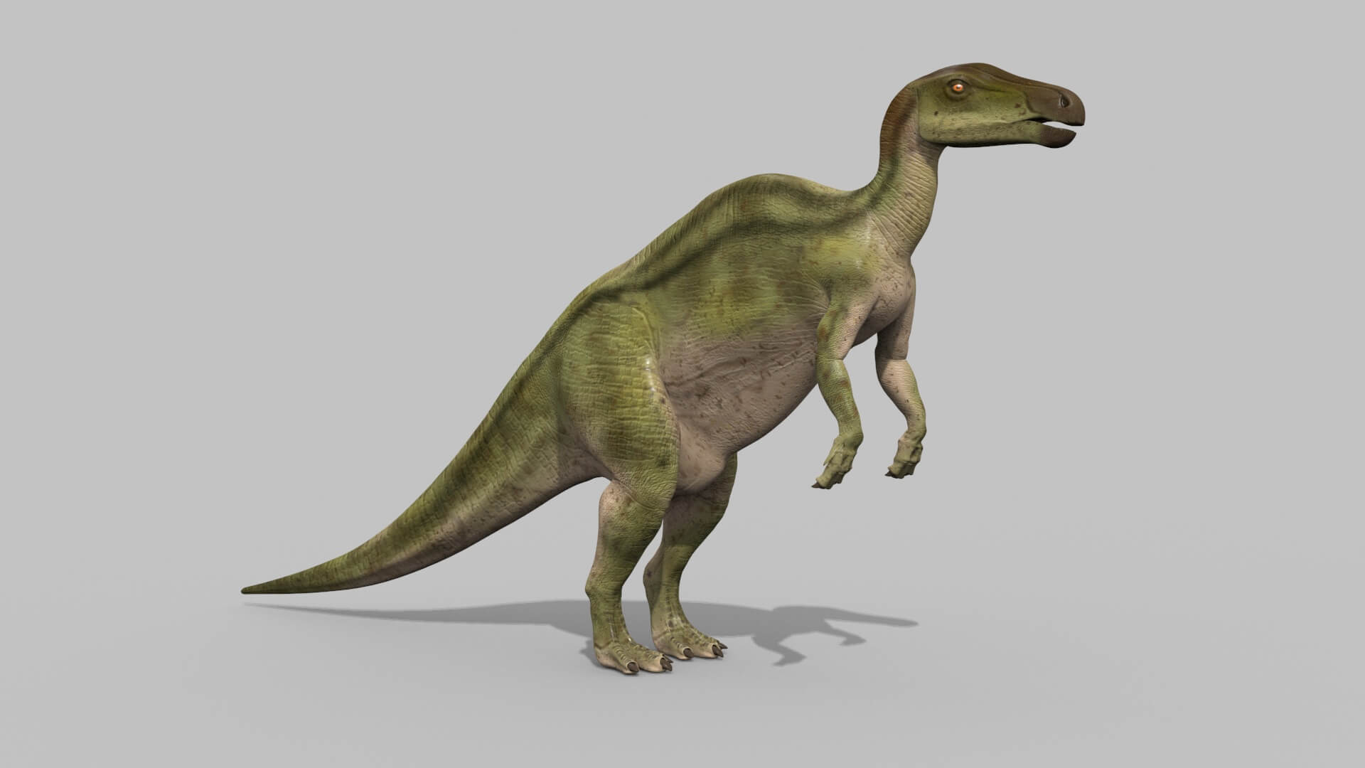 Dino Extra Pack 8K - Fully Animated 3D Model by Virtual creator