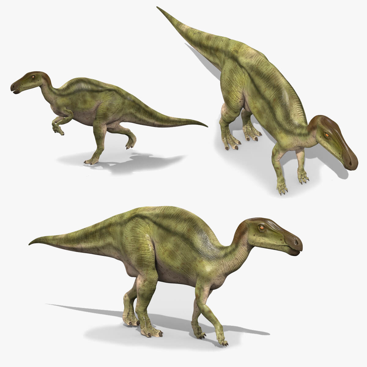 Dino Extra Pack 8K - Fully Animated 3D Model by Virtual creator