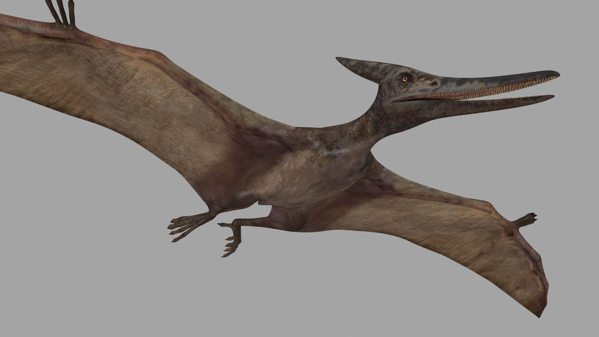 Dino Extra Pack 8K - Fully Animated 3D Model by Virtual creator