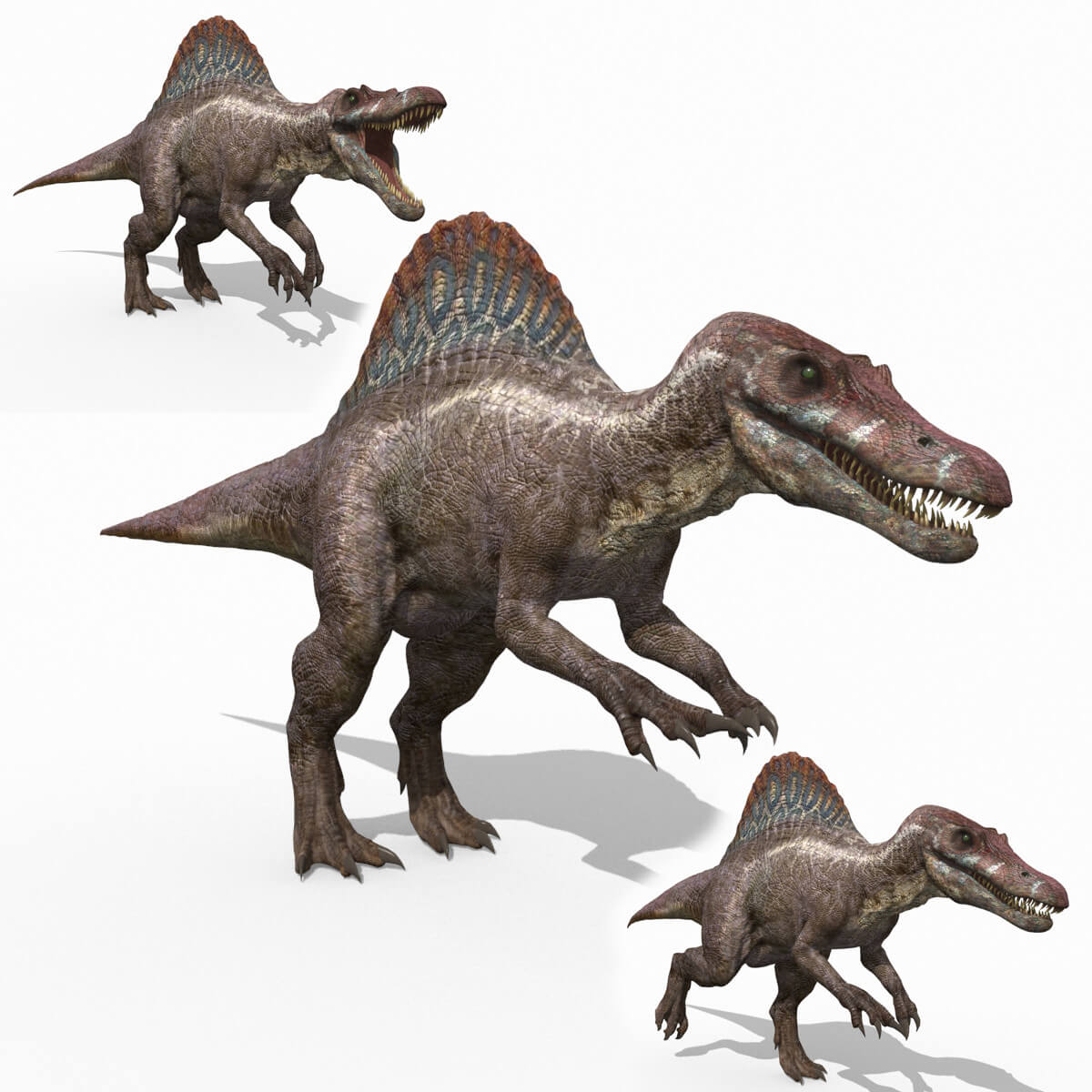 Dino Extra Pack 8K - Fully Animated 3D Model by Virtual creator