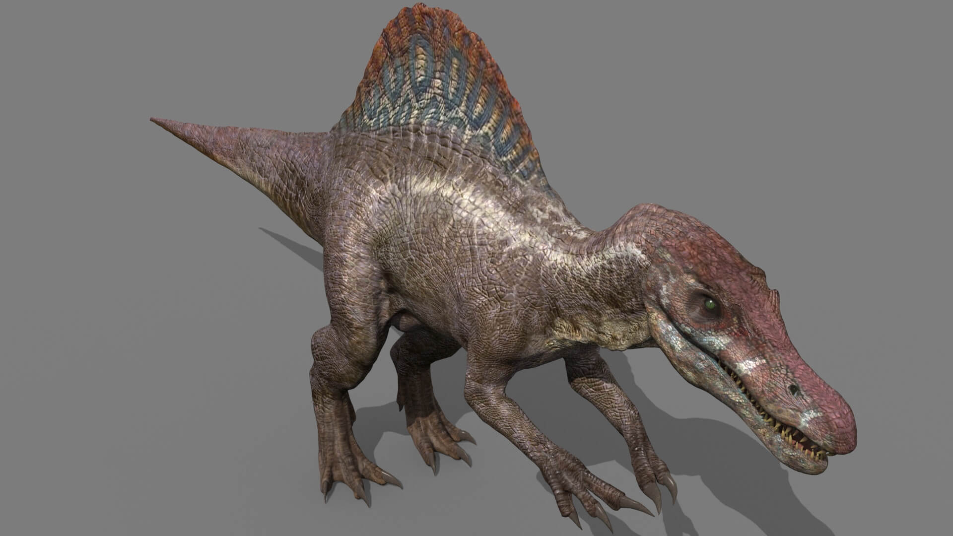 Dino Extra Pack 8K - Fully Animated 3D Model by Virtual creator