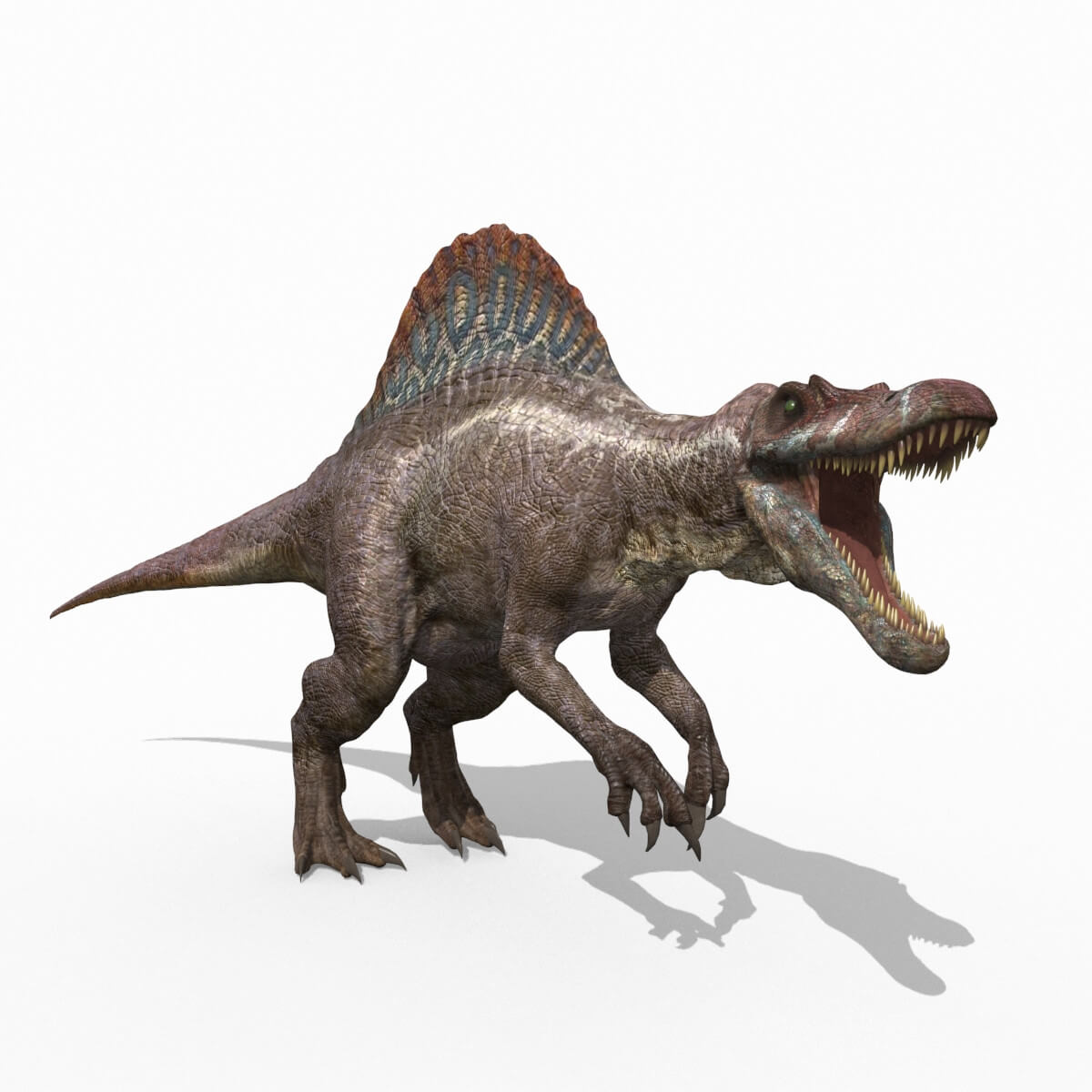 Dino Extra Pack 8K - Fully Animated 3D Model by Virtual creator