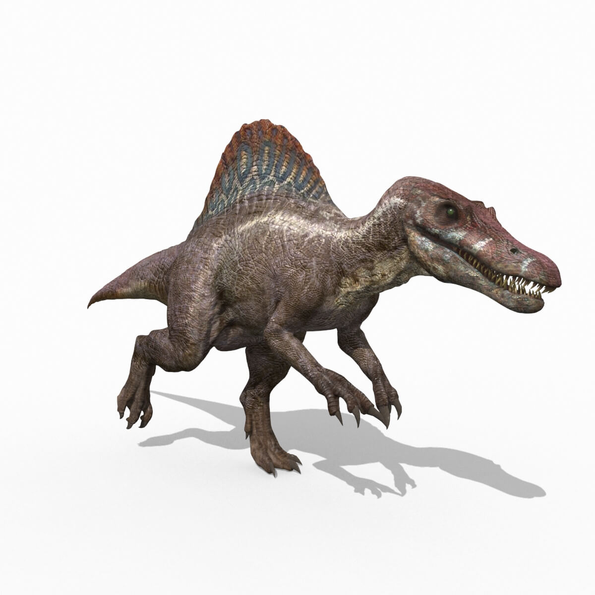 Dino Extra Pack 8K - Fully Animated 3D Model by Virtual creator