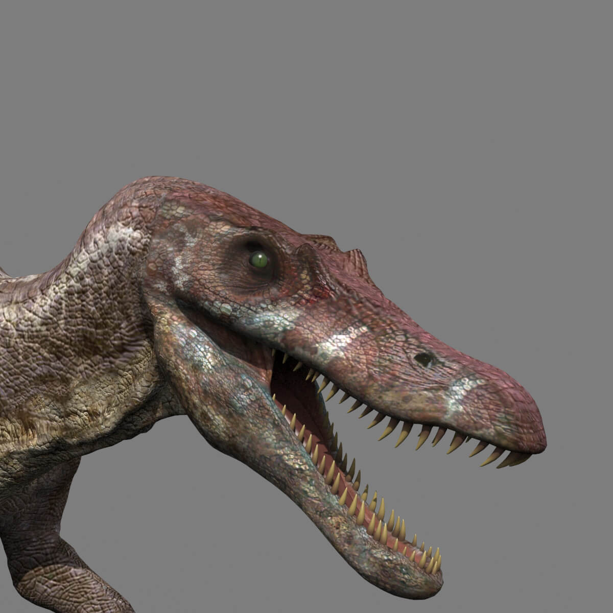 Dino Extra Pack 8K - Fully Animated 3D Model by Virtual creator