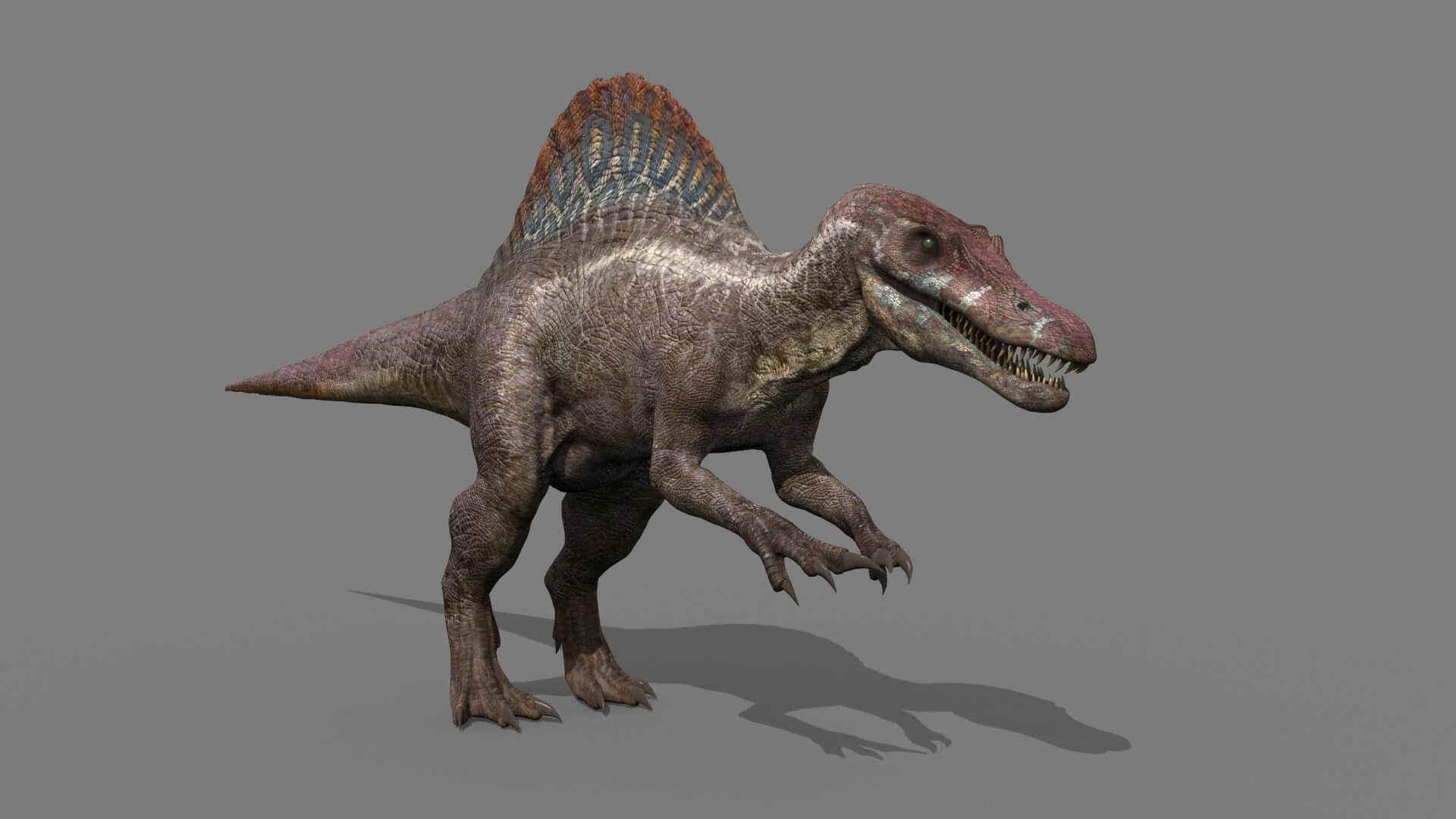 Dino Extra Pack 8K - Fully Animated 3D Model by Virtual creator