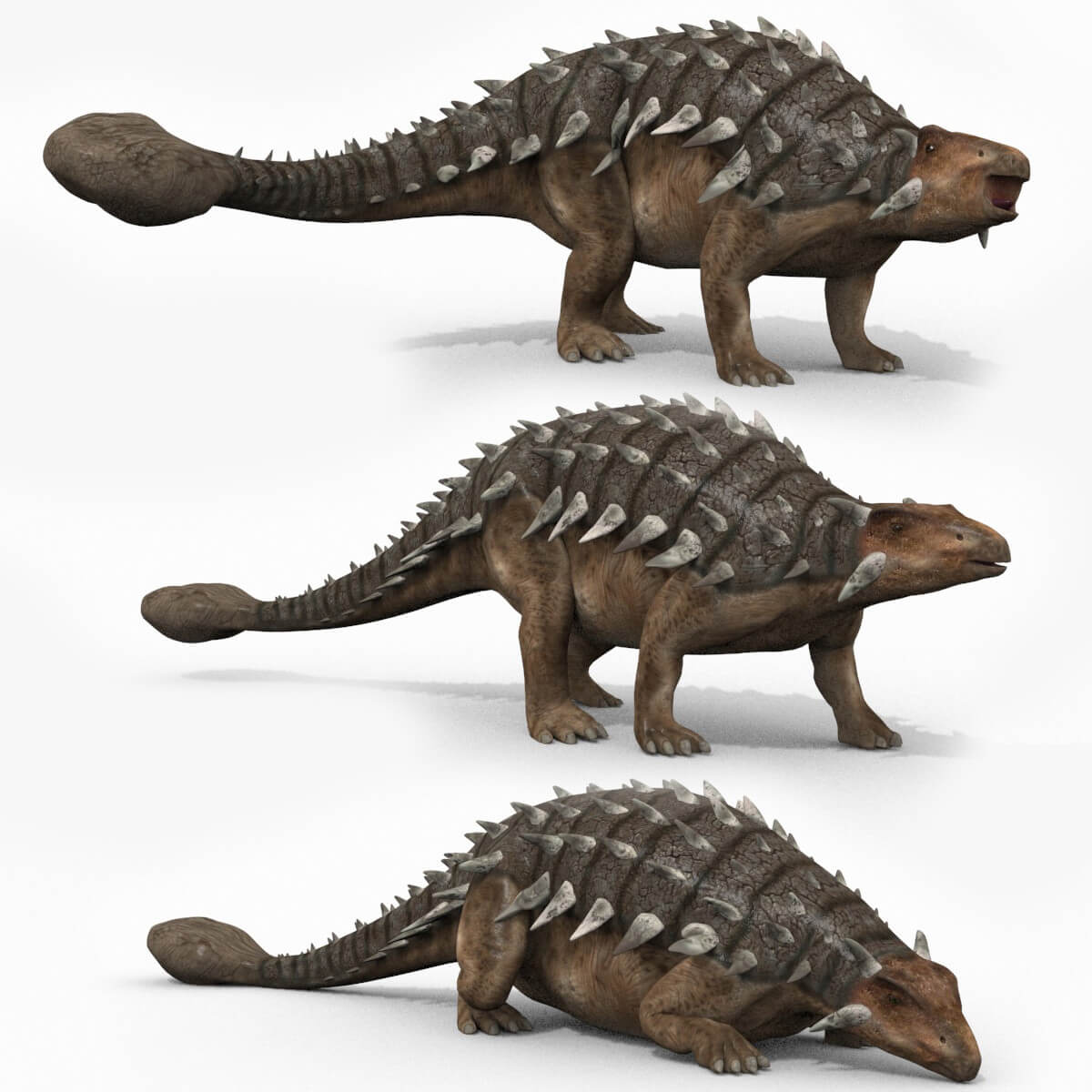 Dino Extra Pack 8K - Fully Animated 3D Model by Virtual creator