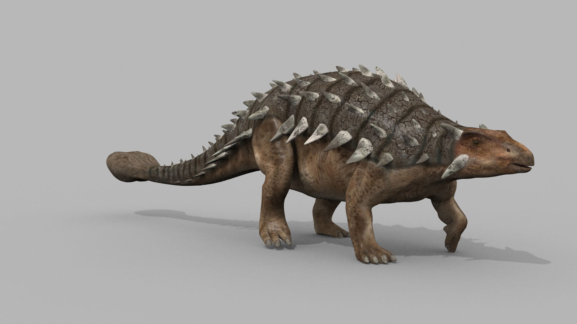 Dino Extra Pack 8K - Fully Animated 3D Model by Virtual creator