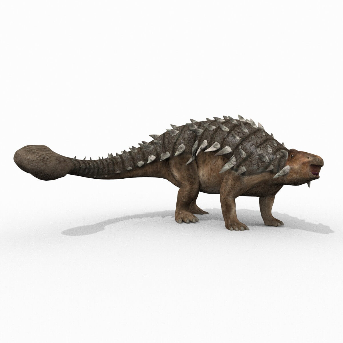 Dino Extra Pack 8K - Fully Animated 3D Model by Virtual creator