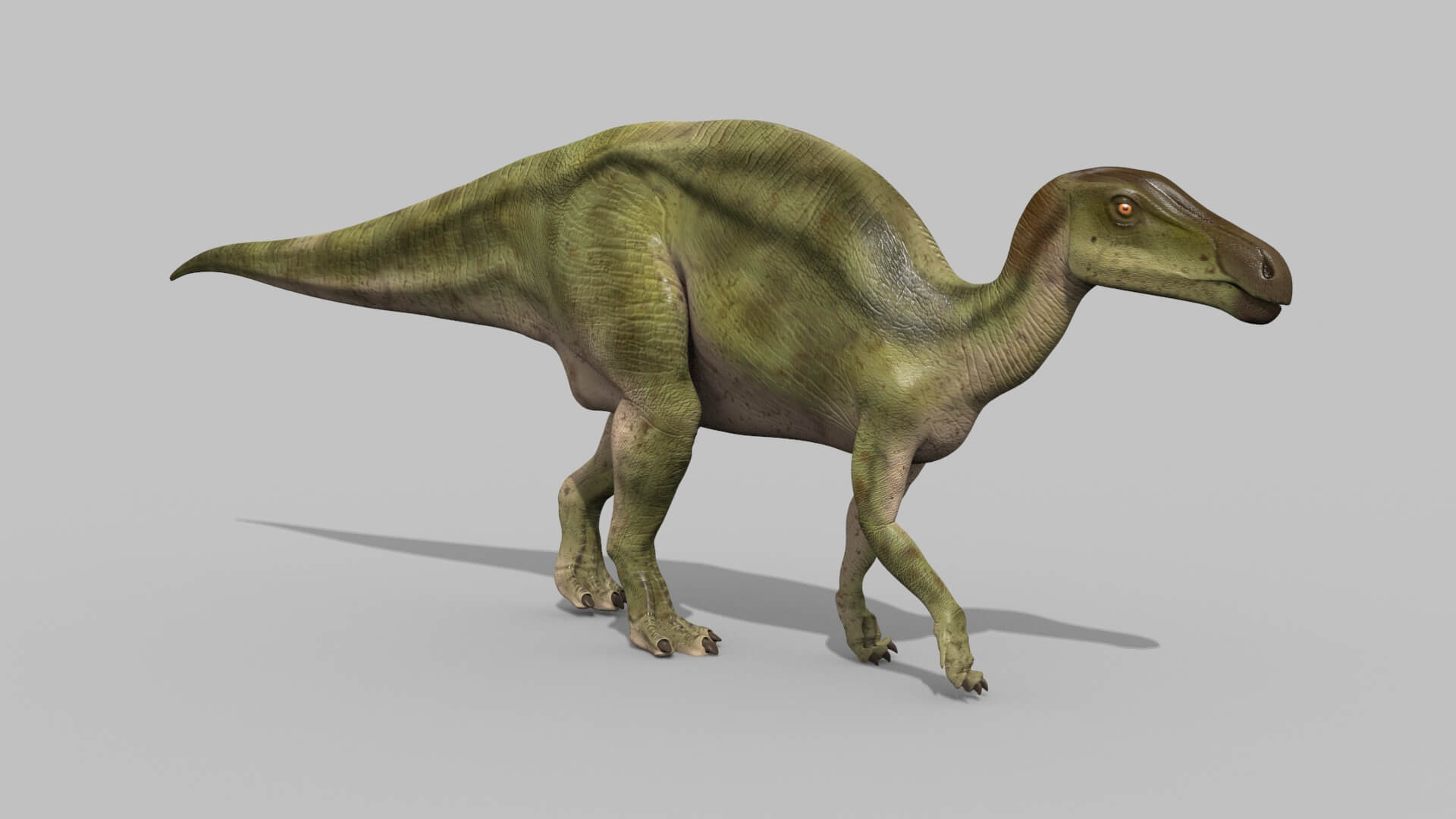 Edmontosaur Lives 8K - 3D Animated Model by Virtual creator