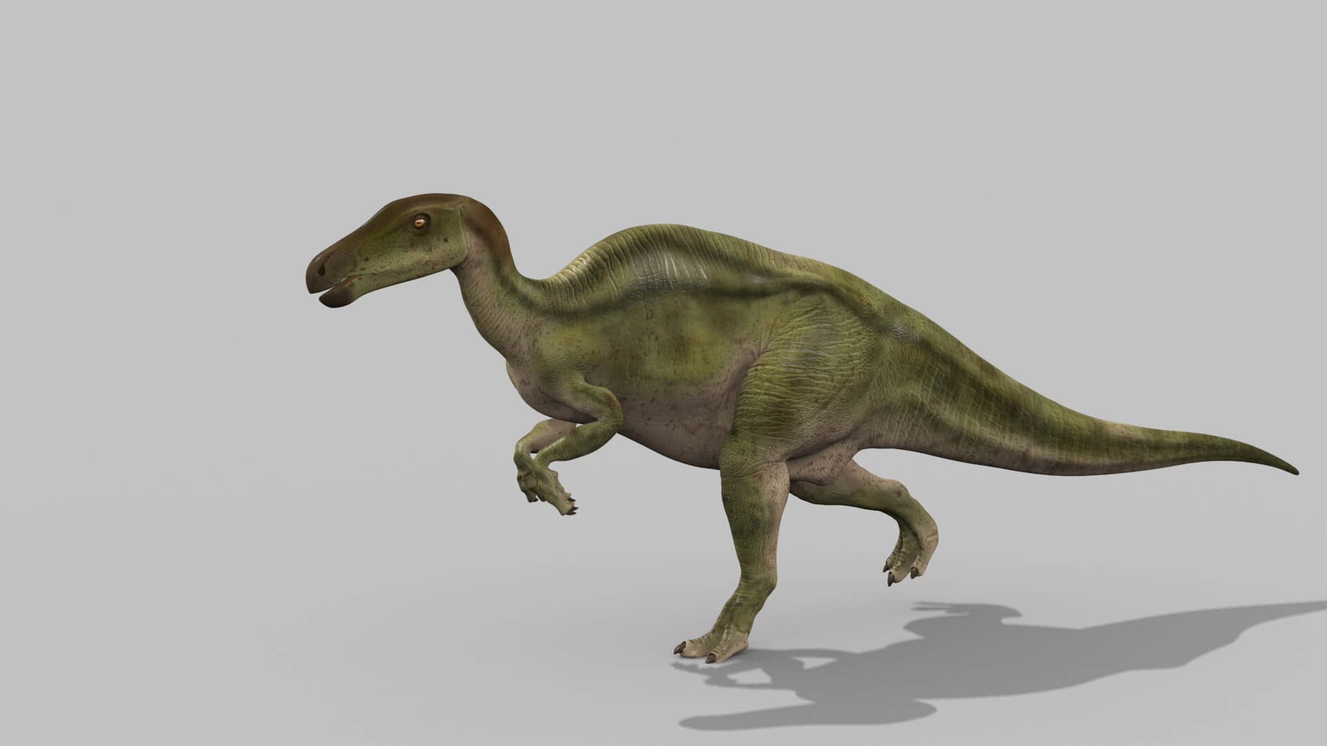 Edmontosaur Lives 8K - 3D Animated Model by Virtual creator