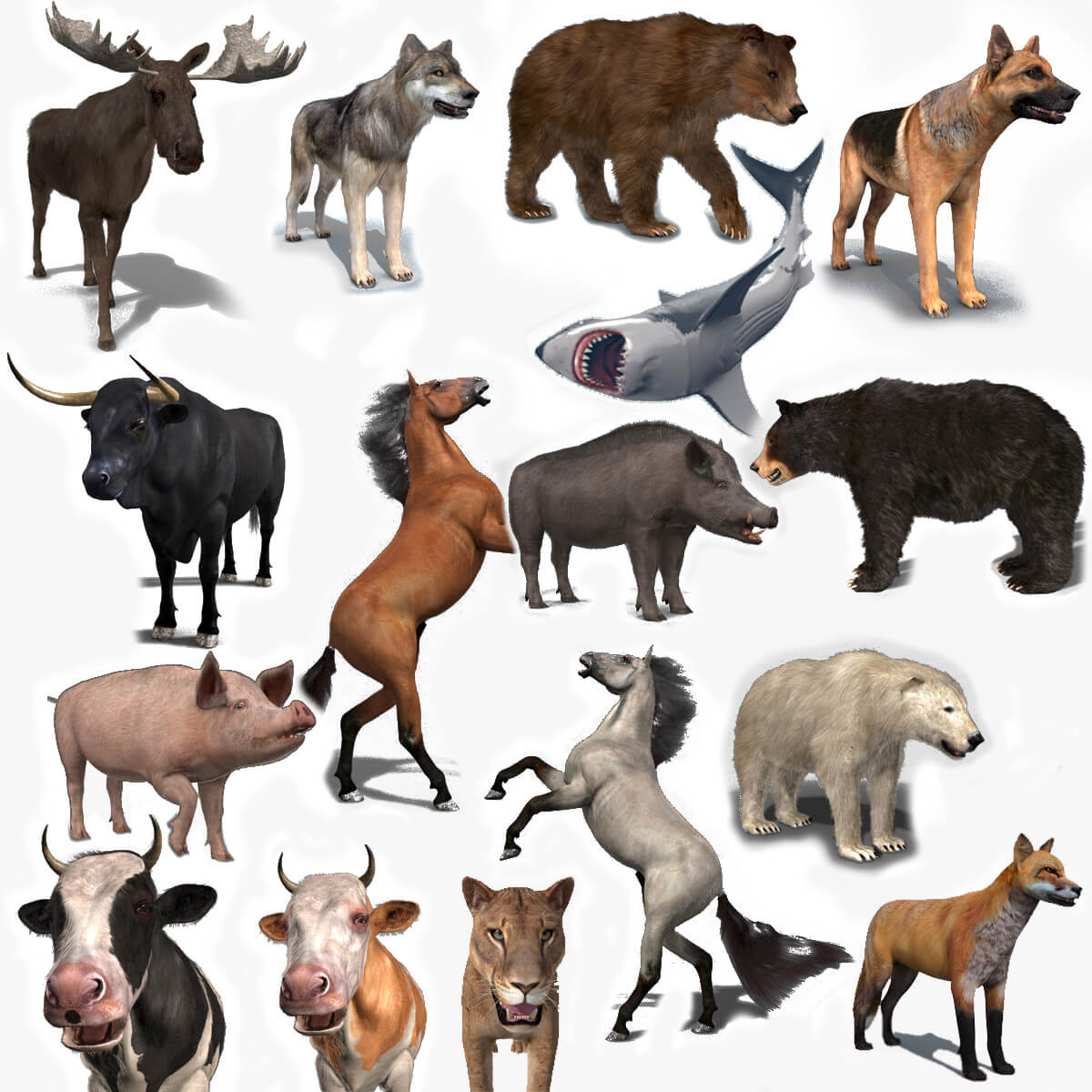 Farm and Forest Animal Pack - 3D Model by Virtual creator