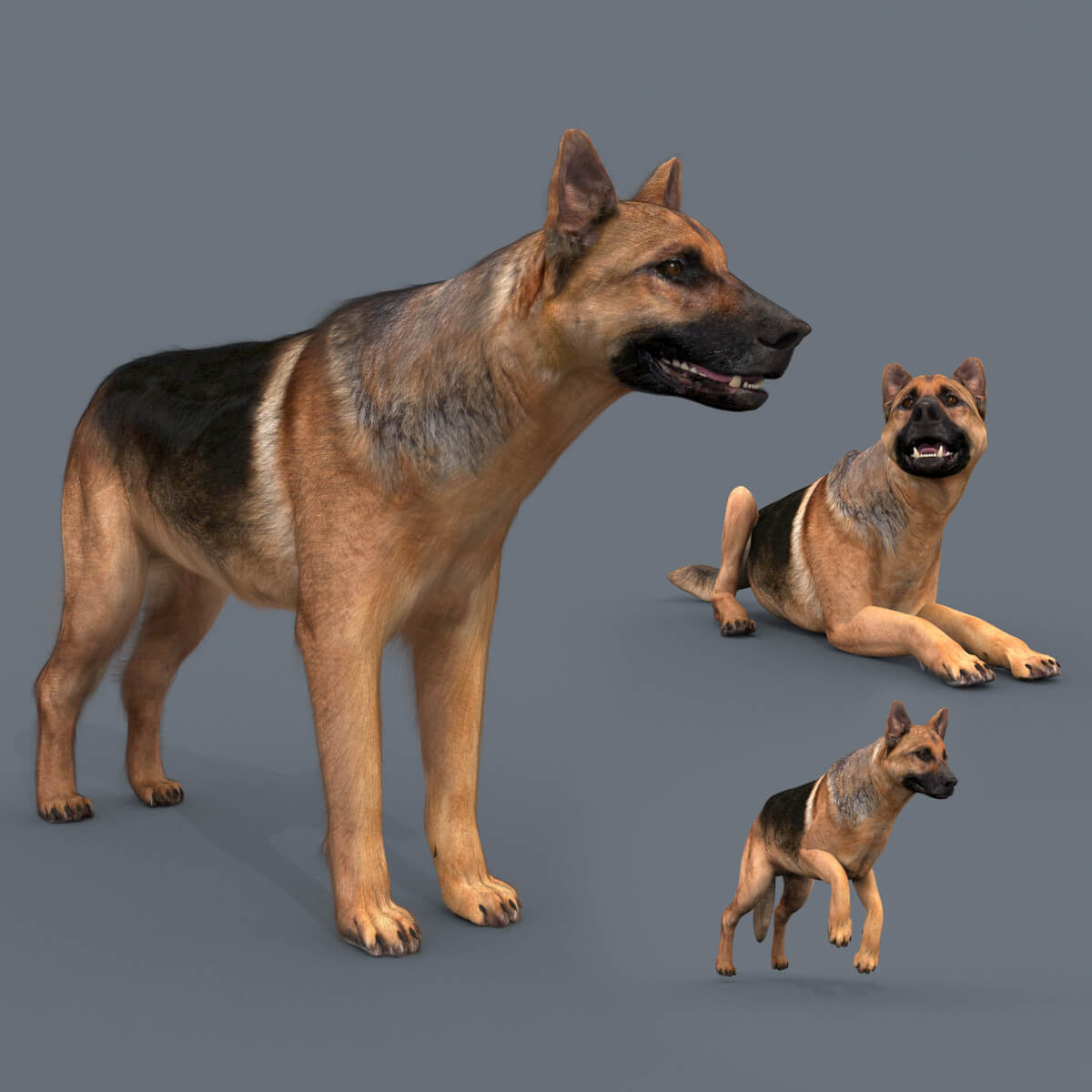 Farm and Forest Animal Pack - 3D Model by Virtual creator