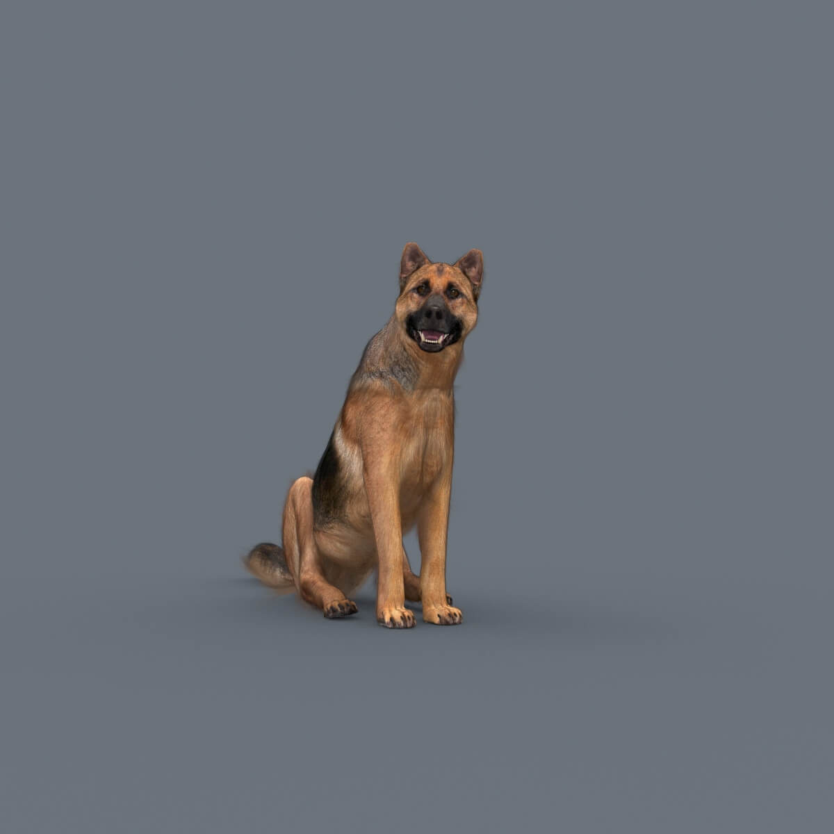 Farm and Forest Animal Pack - 3D Model by Virtual creator