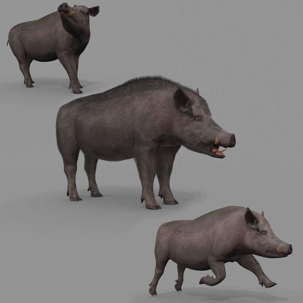 Farm and Forest Animal Pack - 3D Model by Virtual creator