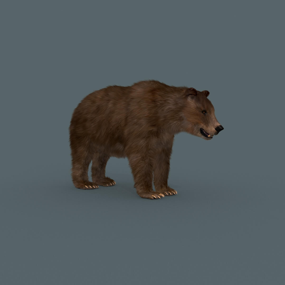 Farm and Forest Animal Pack - 3D Model by Virtual creator