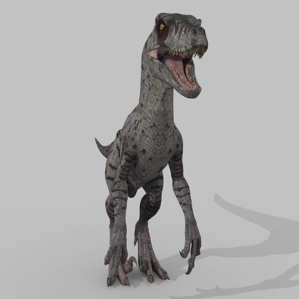 Female Alpha Raptor - 8K 3D Model by Virtual creator