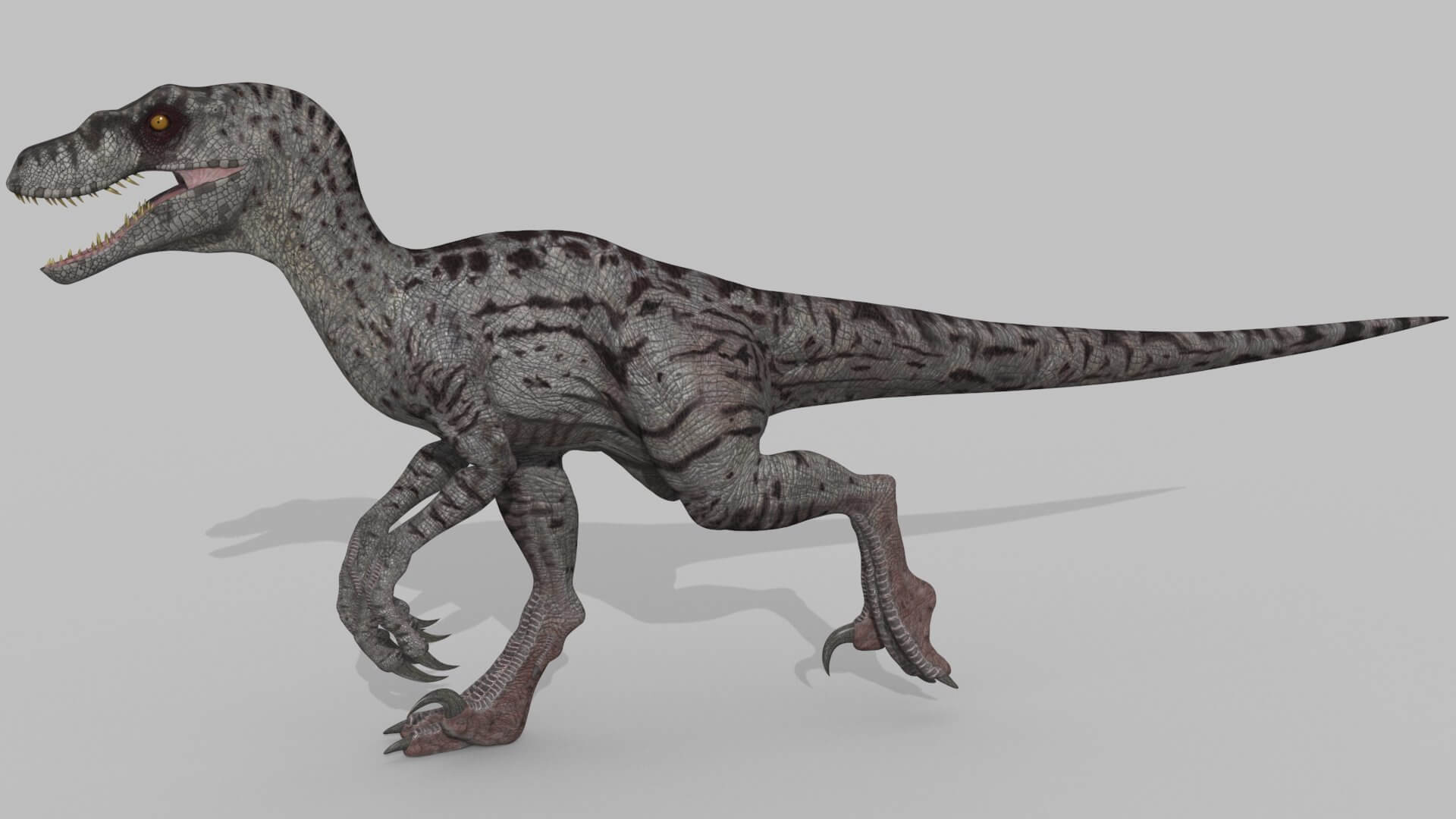 Female Alpha Raptor - 8K 3D Model by Virtual creator