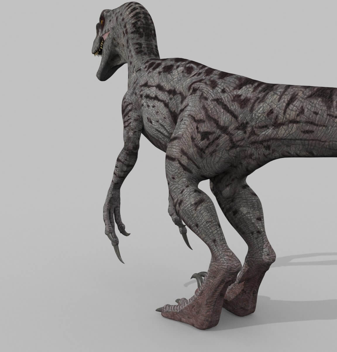 Female Alpha Raptor - 8K 3D Model by Virtual creator