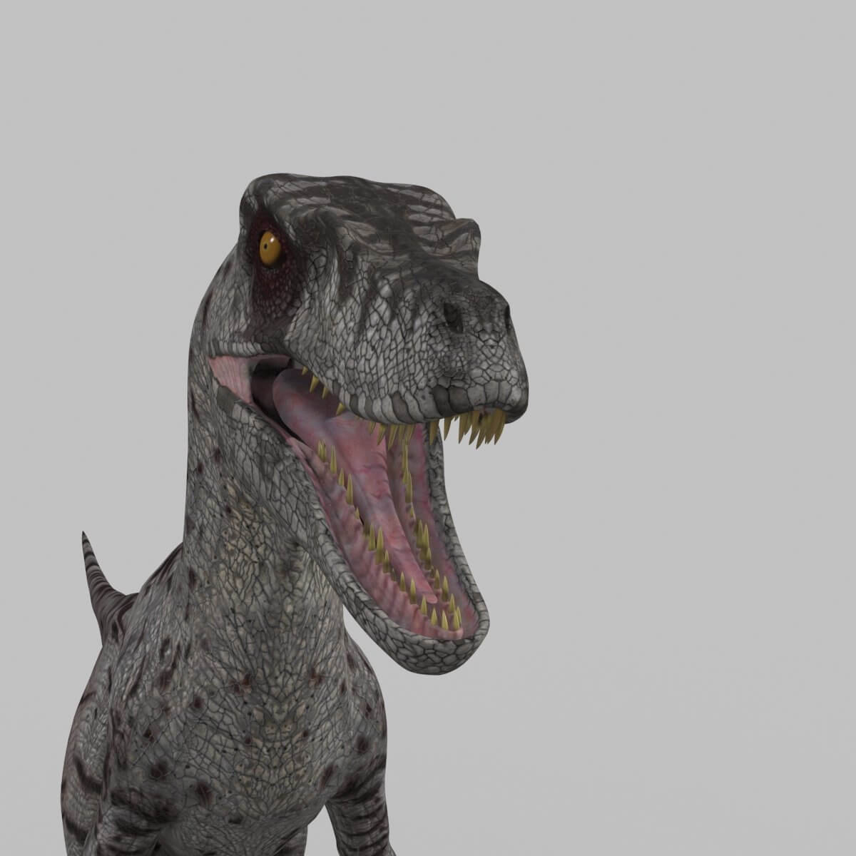 Female Alpha Raptor - 8K 3D Model by Virtual creator