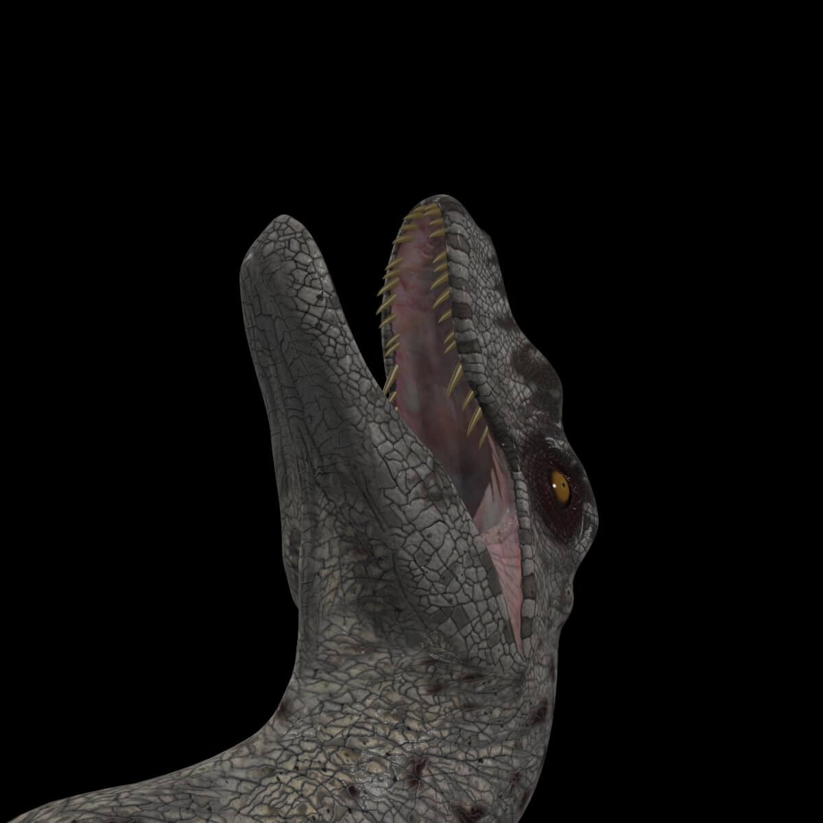 Female Alpha Raptor - 8K 3D Model by Virtual creator